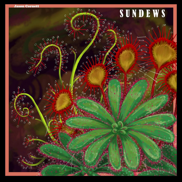 Carnivorous Melancholy: Jason Cornett’s “Sundews” Digests Raw Emotion ...
